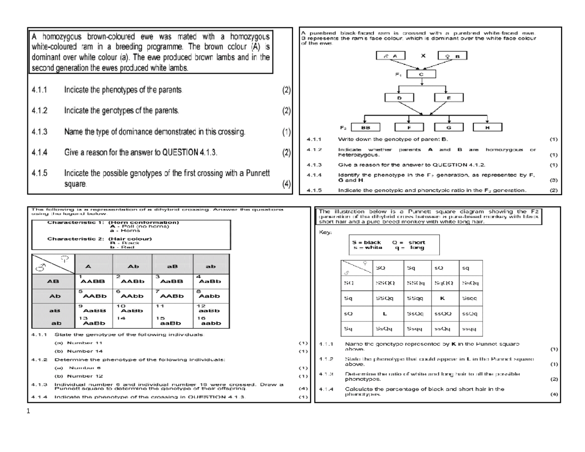 Genetics JUNE Revision Quizz - Studocu