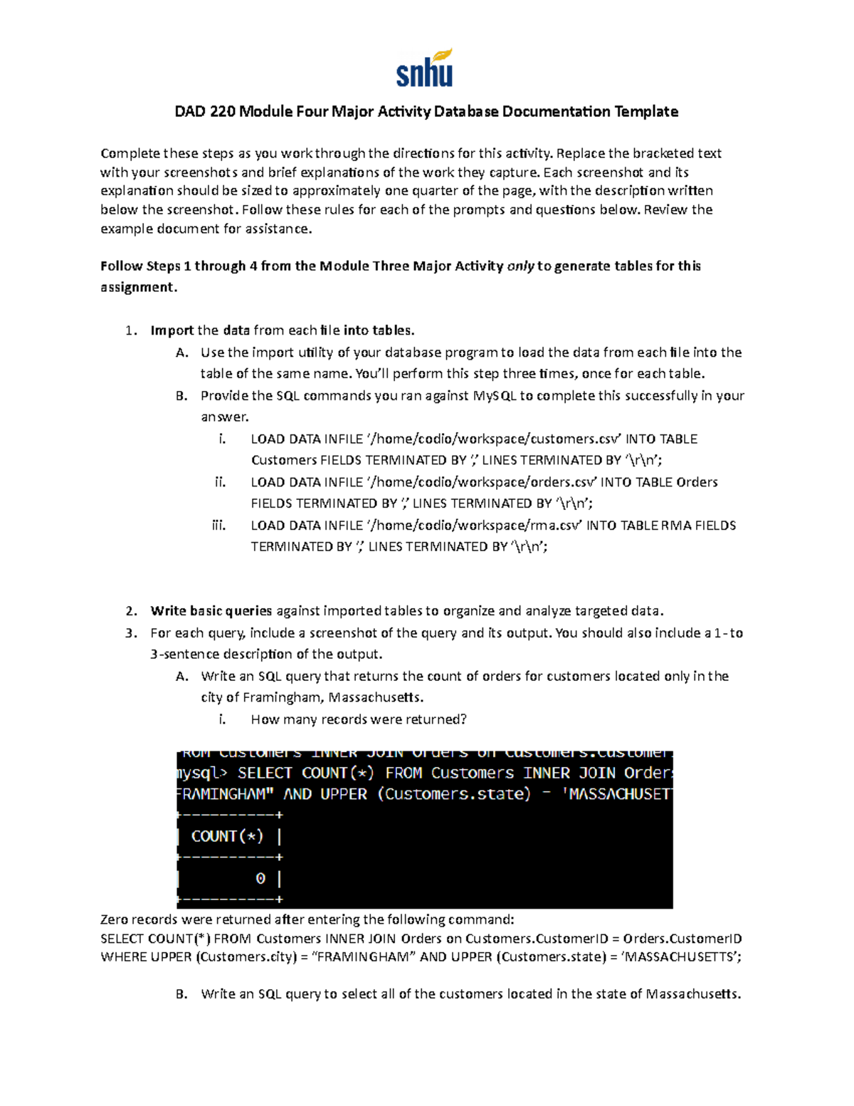 Module Four Major Activity Database Documentation Template Replace