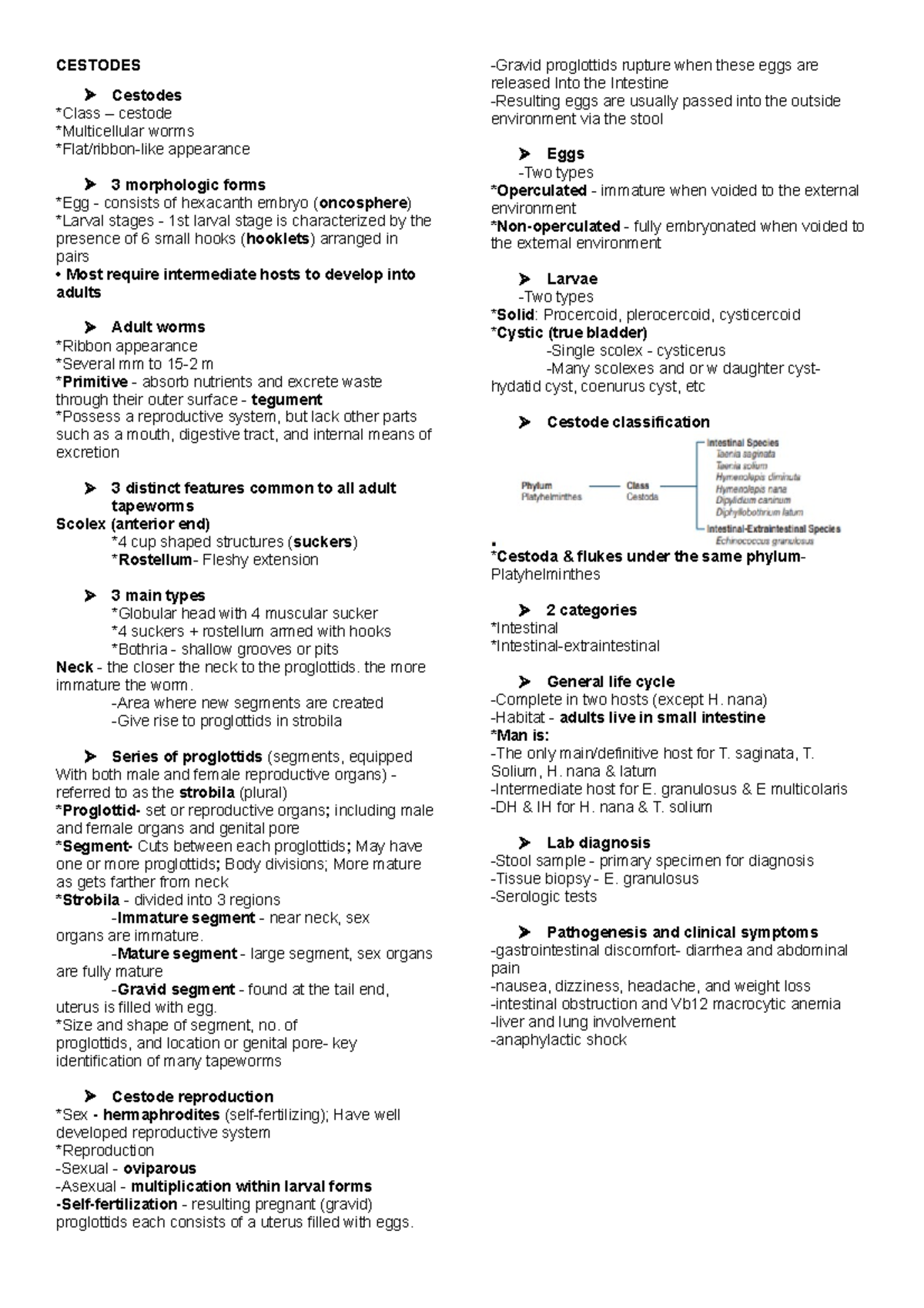 Cestodes - CESTODES Cestodes *Class – cestode *Multicellular worms ...