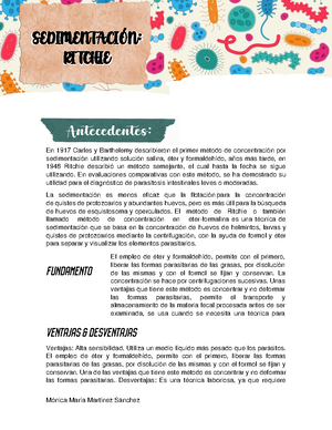 Metodo de Richie - parasitologia - MÉTODO DE RITCHIE (CONCENTRACIÓN POR ...