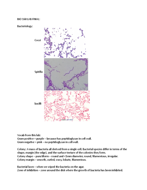 BIO 160 Midterm 1 Learning Objectives - BIO 160 Midterm 1 Learning ...