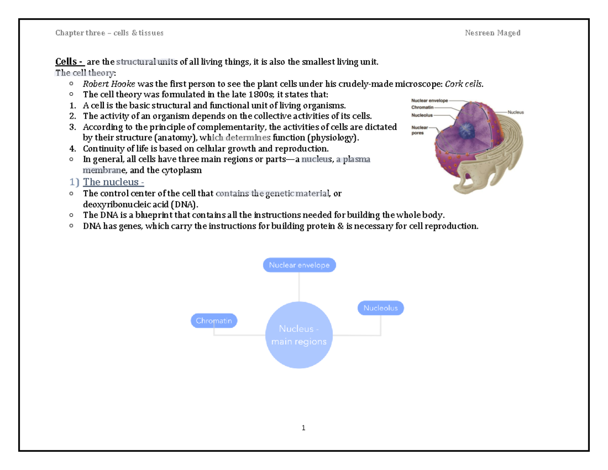 Chapter three - cells & tissues - Cells - are the structural units of ...
