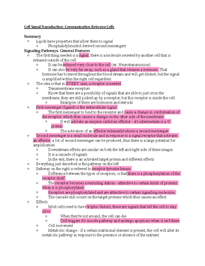 Cell bio formal report on apoptosis - Michelle George B Paul Stemmler ...
