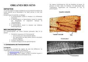 Polycop TP n°1 - Biologie animale - LES TISSUS Un tissu est un ensemble ...