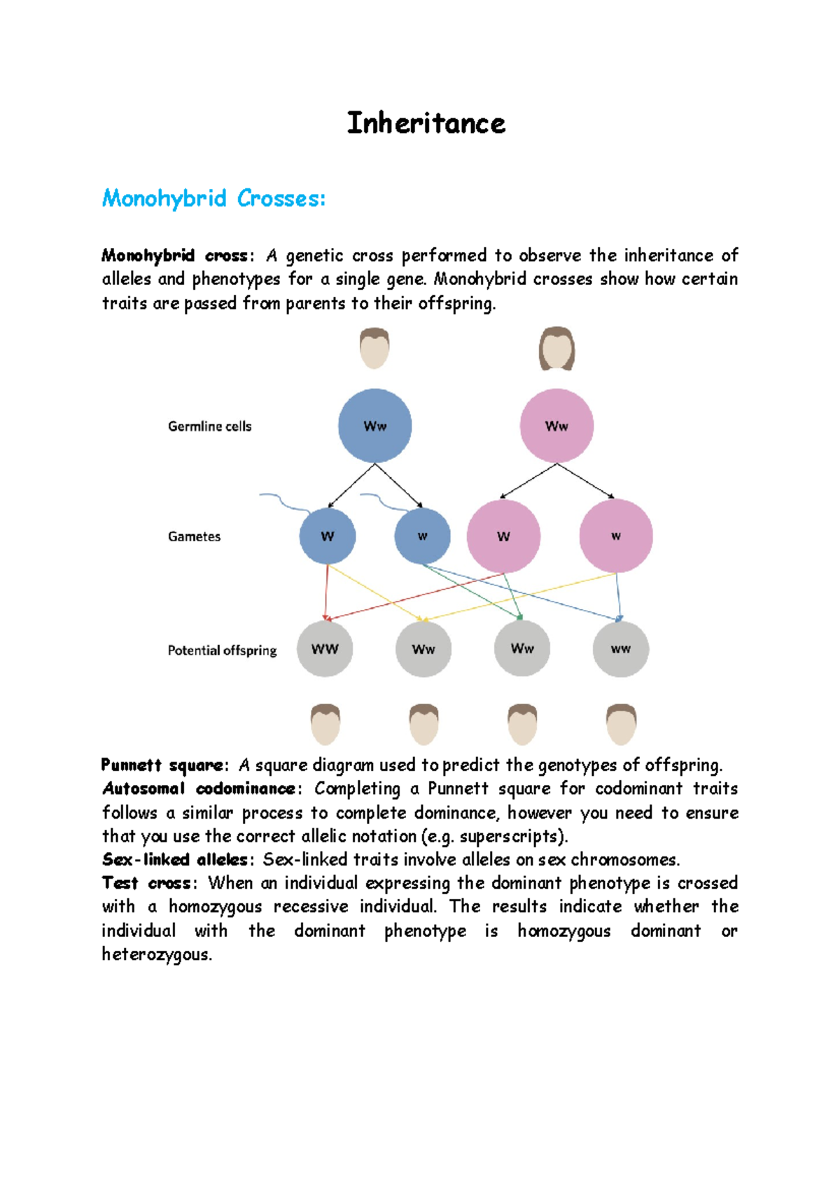 Inheritance - ......... - Inheritance Monohybrid Crosses: Monohybrid cross: A genetic cross ...