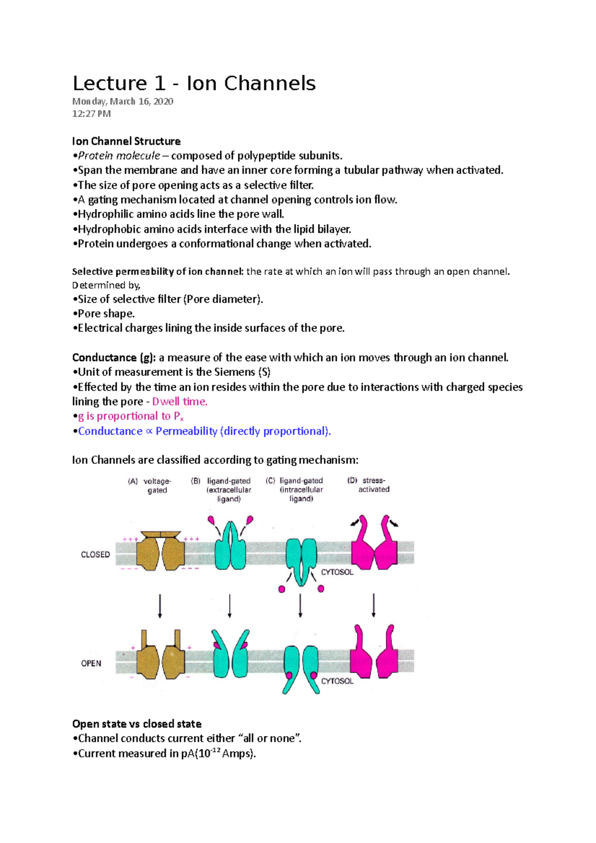 Week 1 - Ion Channels + Ion Channel Diseases - Lecture 1 - Ion Channels ...