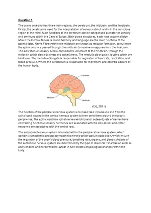 The Human Endocrine and Nervous System - unit 10 - The Human Endocrine ...