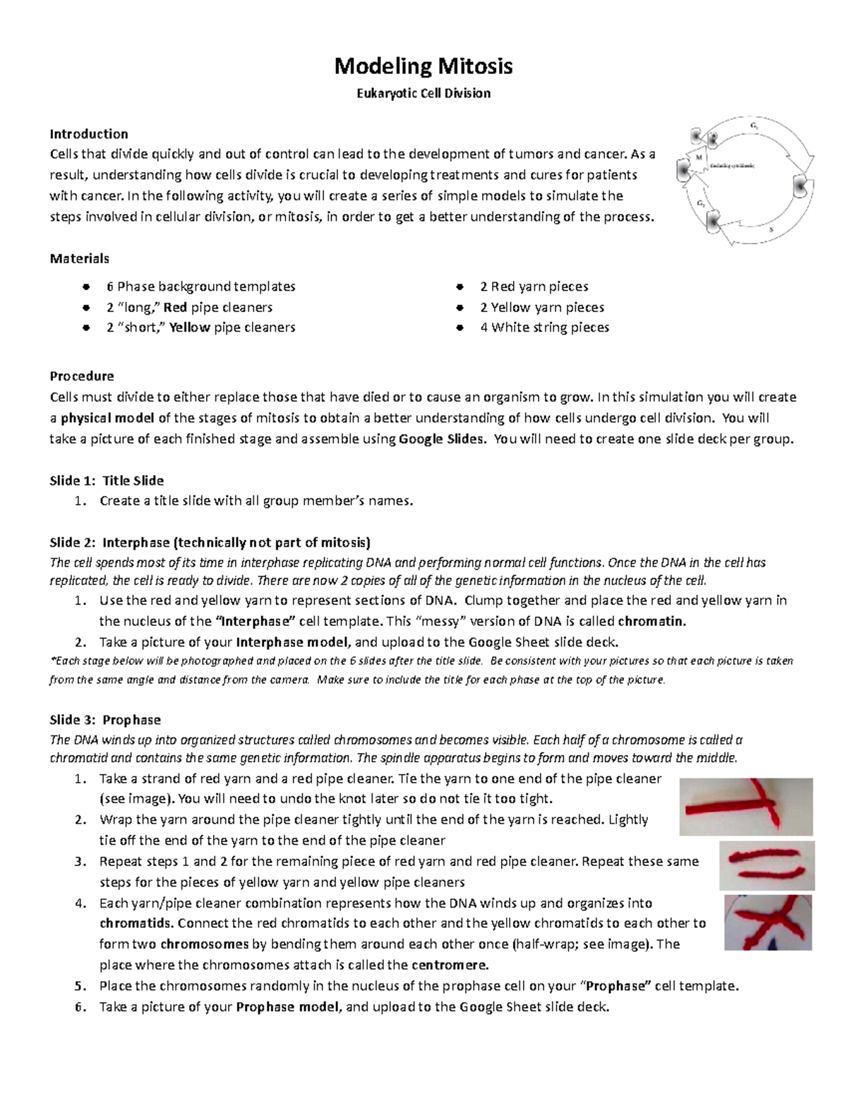 Modeling Cell Division (Revised 2023) - Modeling Mitosis Eukaryotic Cell Division Introduction ...