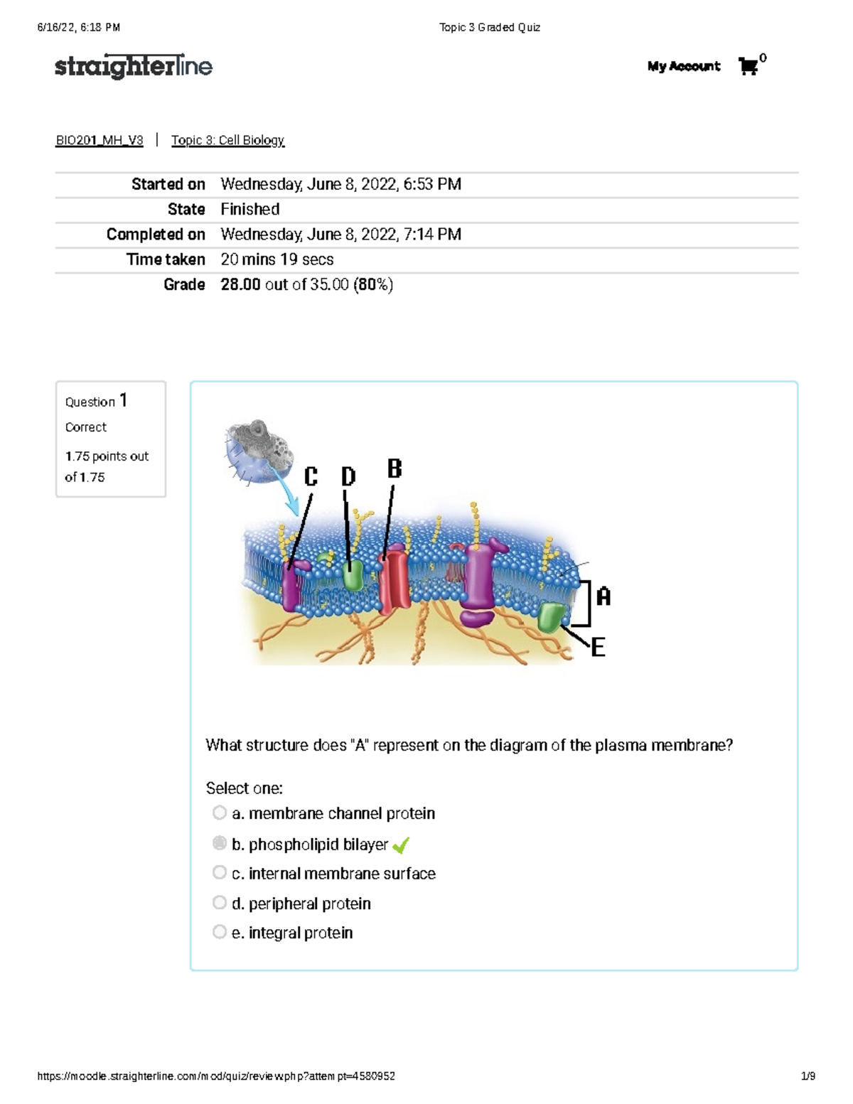 BIO201 Topic 3 Cell Biology - BIO201_MH_V3 | Topic 3: Cell Biology ...