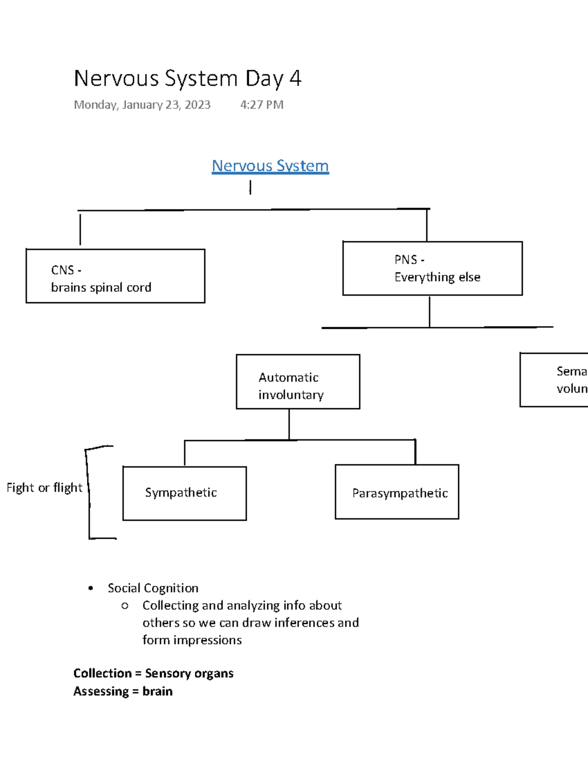 Nervous System Day 4 - Nervous System CNS - brains spinal cord PNS ...