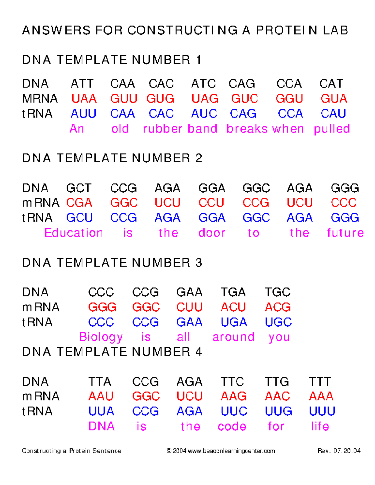 11893 5384 - Jfskskckkfj - ANSWERS FOR CONSTRUCTING A PROTEIN LAB DNA ...
