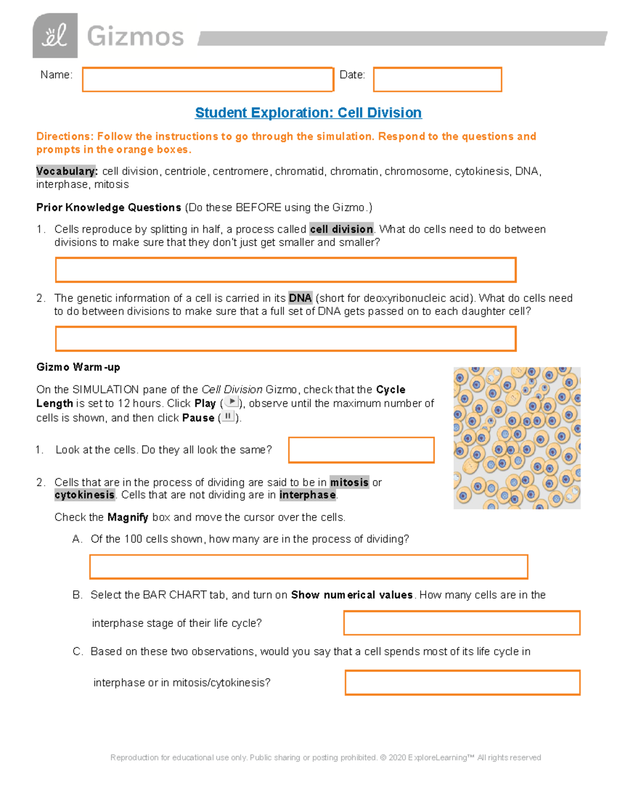 Cell Division gizmo 2022 dn - Name: Date: Student Exploration: Cell ...