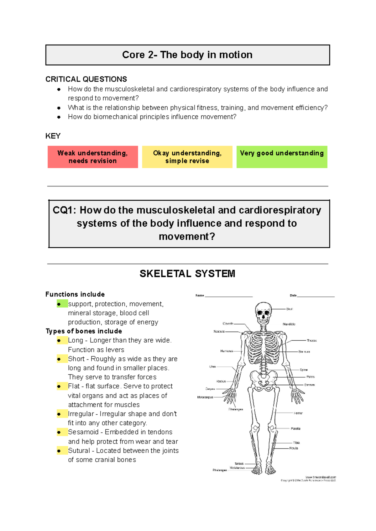 Pdhpe study notes, CORE 2 - Core 2- The body in motion CRITICAL ...