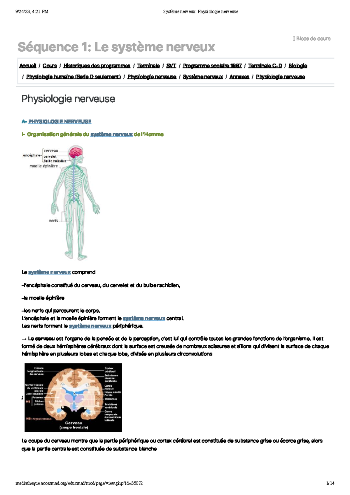 Système nerveux Physiologie nerveuse - Séquence 1 : Le système nerveux ...