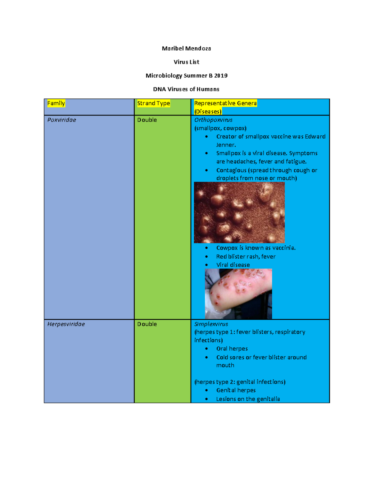 Micro Virus List Maribel - Maribel Mendoza Virus List Microbiology ...