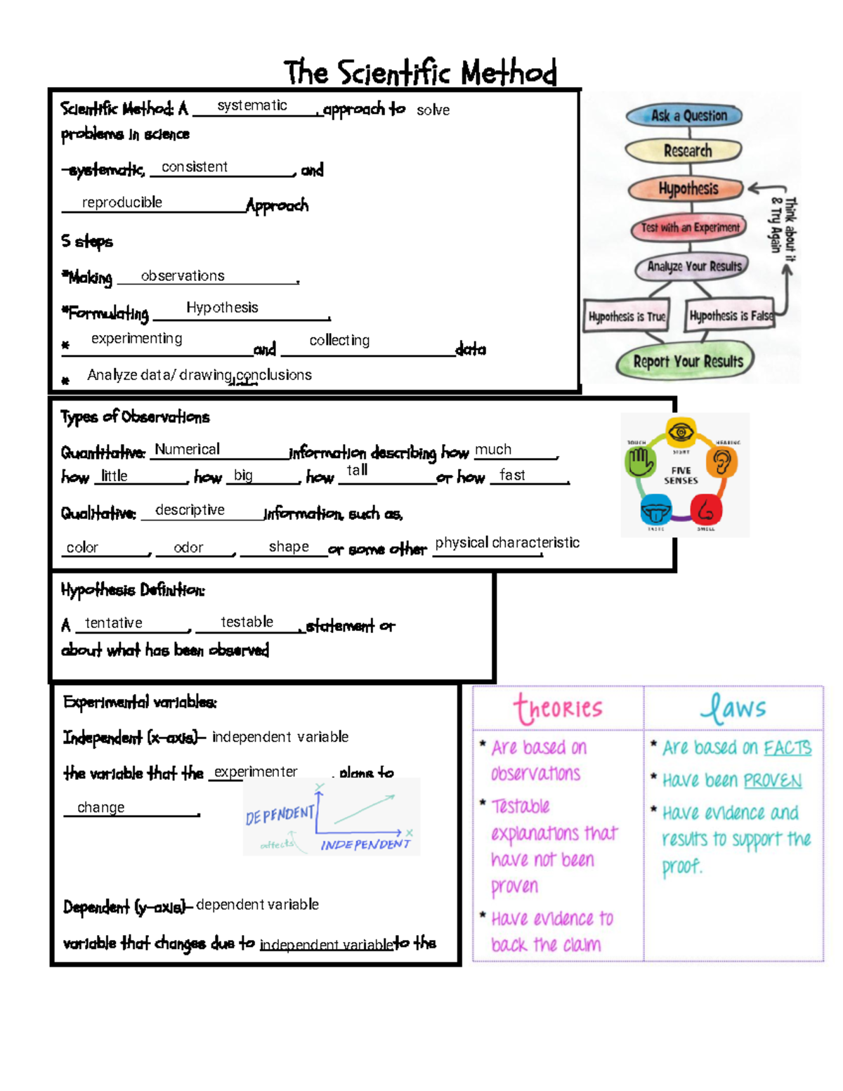 Kami Export - Daryn Moroyoqui - The Scientific Method Notes - The ...