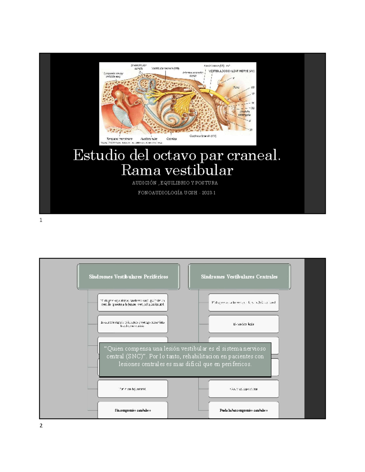 Clase sobre evaluación del VIII par - Estudio del octavo par craneal ...