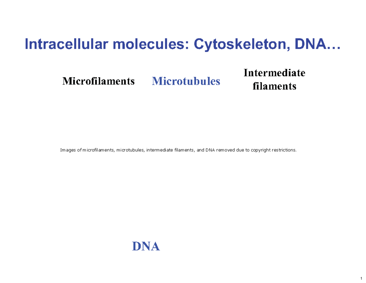 Biology notes (25) - Intracellular molecules: Cytoskeleton, DNA ...