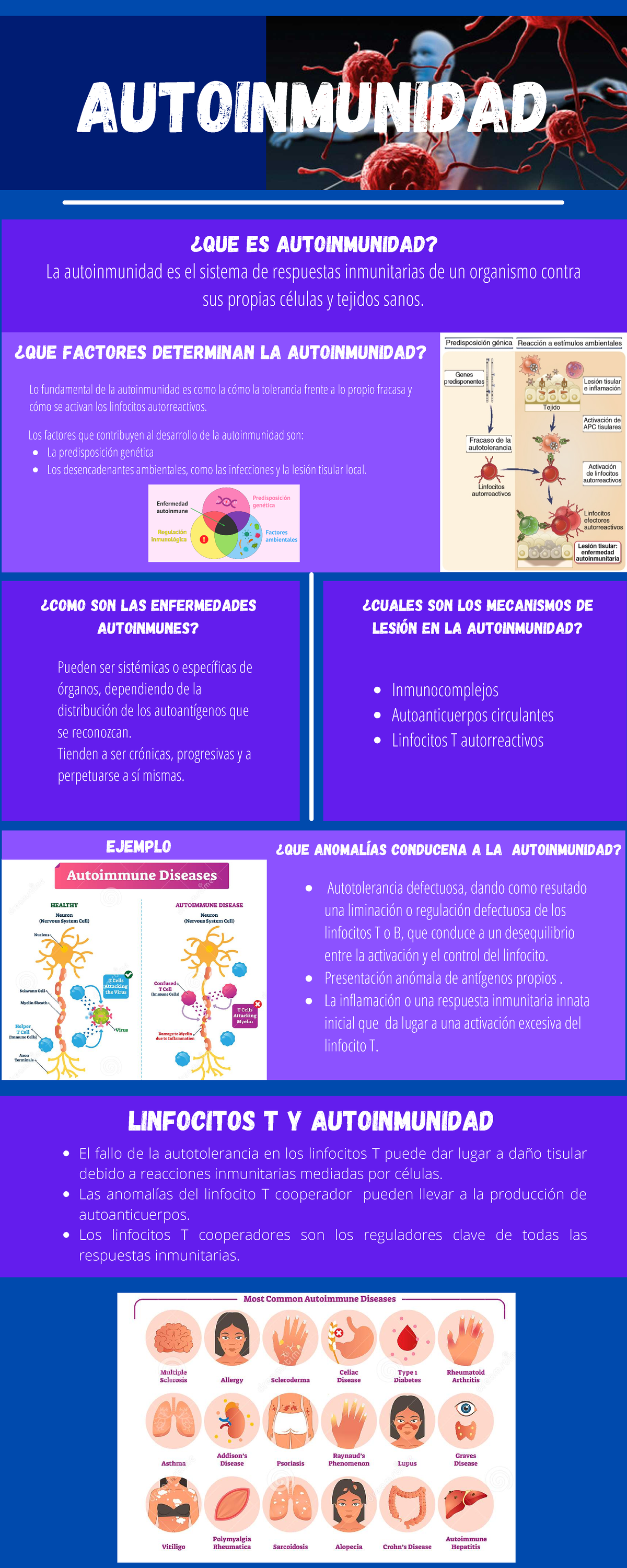 Autoinmunidad, bases celulares y moleculares. - Inmunología - UMG - Studocu
