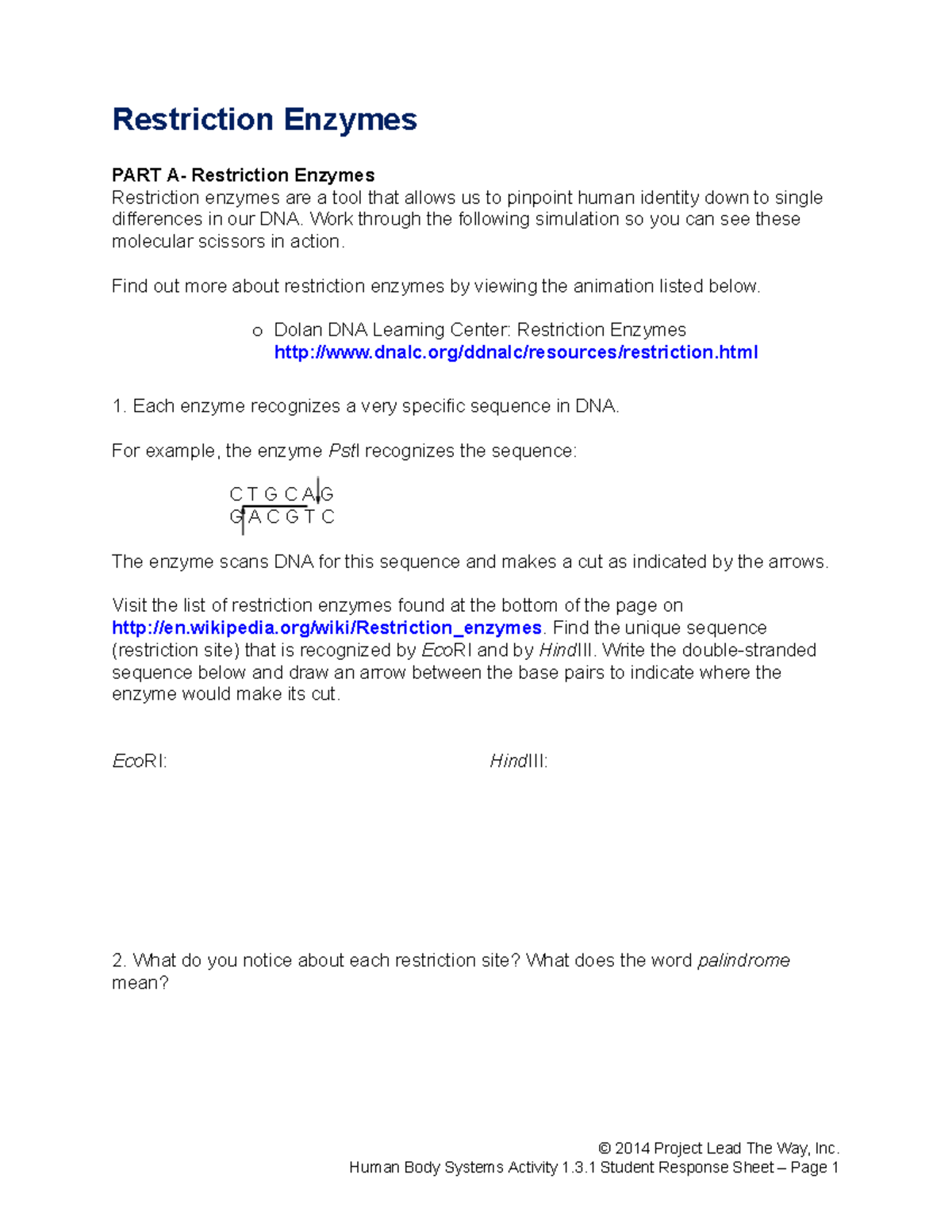 Restriction Enzymes Animation