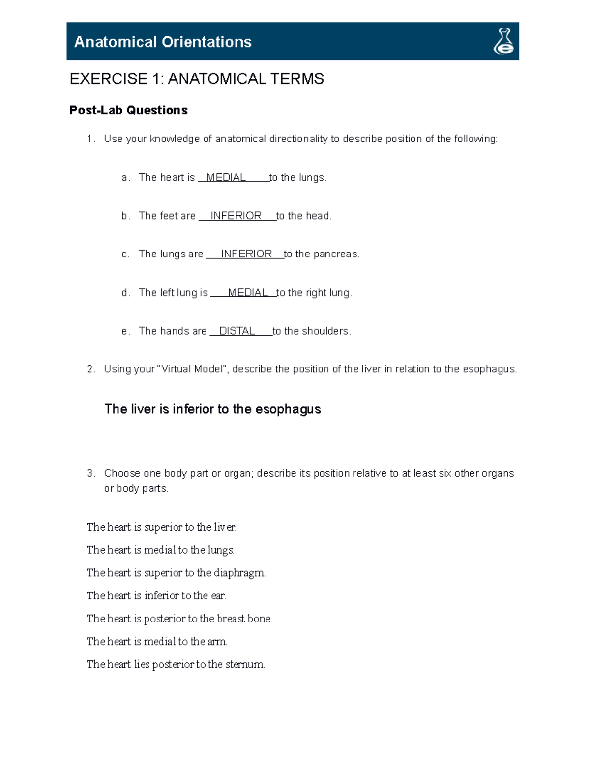 Post Lab Anatomical Orientations - Deprecated API usage: The SVG back ...