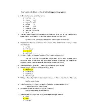 Urinary Worksheet done - Interpret terms related to the urinary system ...