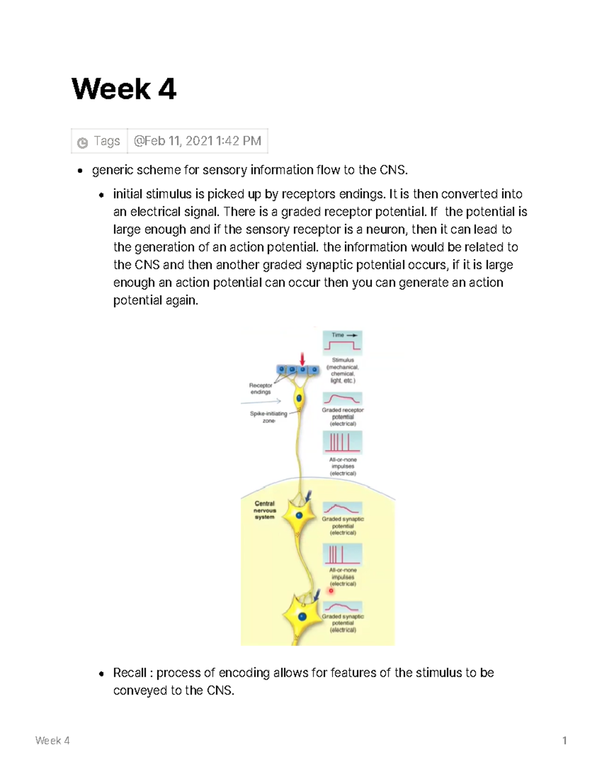 Week 4 - Lecture notes 4 - Week 4 Tags generic scheme for sensory ...