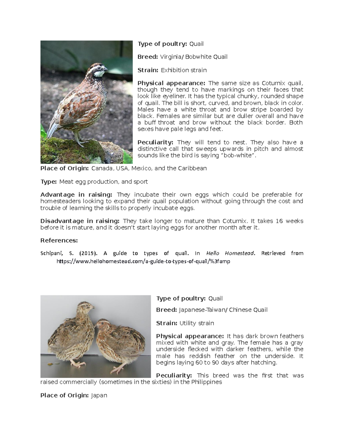 Homework-Quail - Description about birds - Type of poultry: Quail Breed ...
