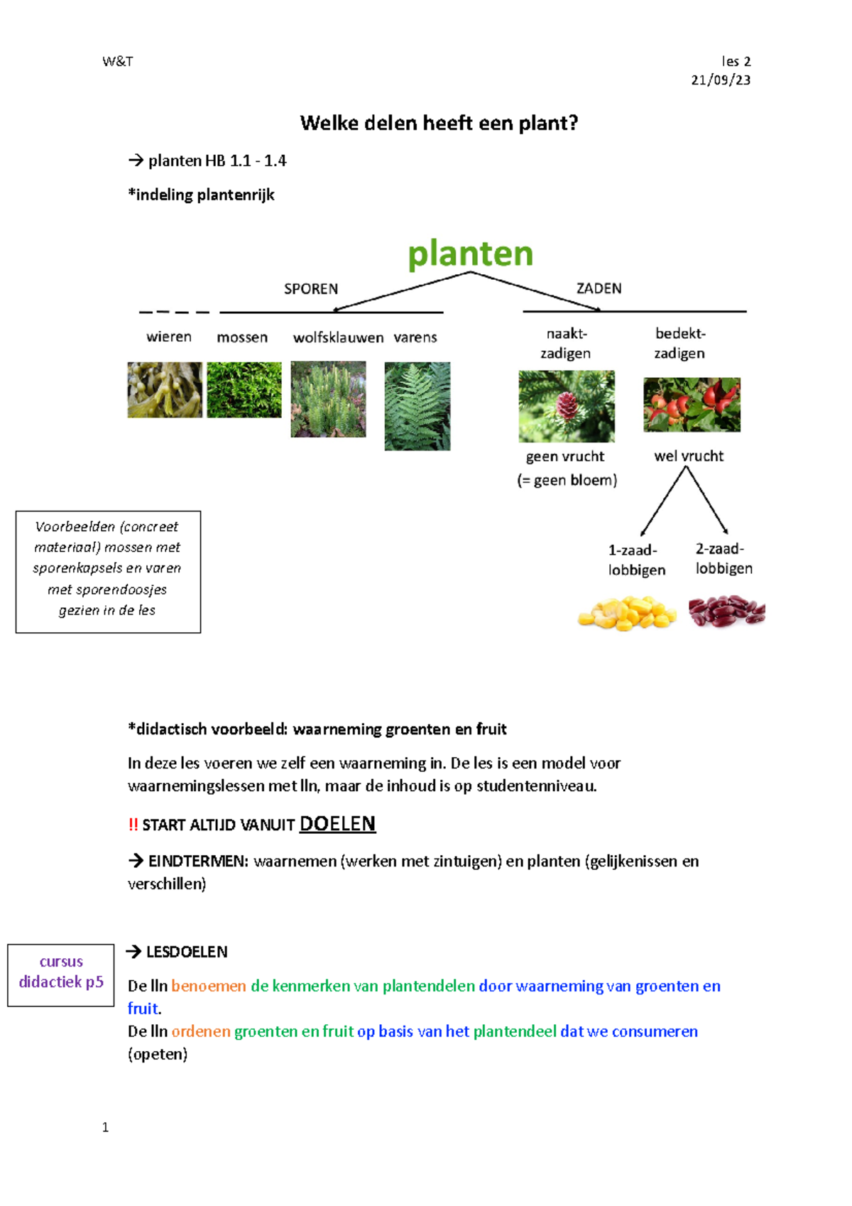 Les 2 plantendelen - 21/09/ Welke delen heeft een plant? planten HB 1 ...