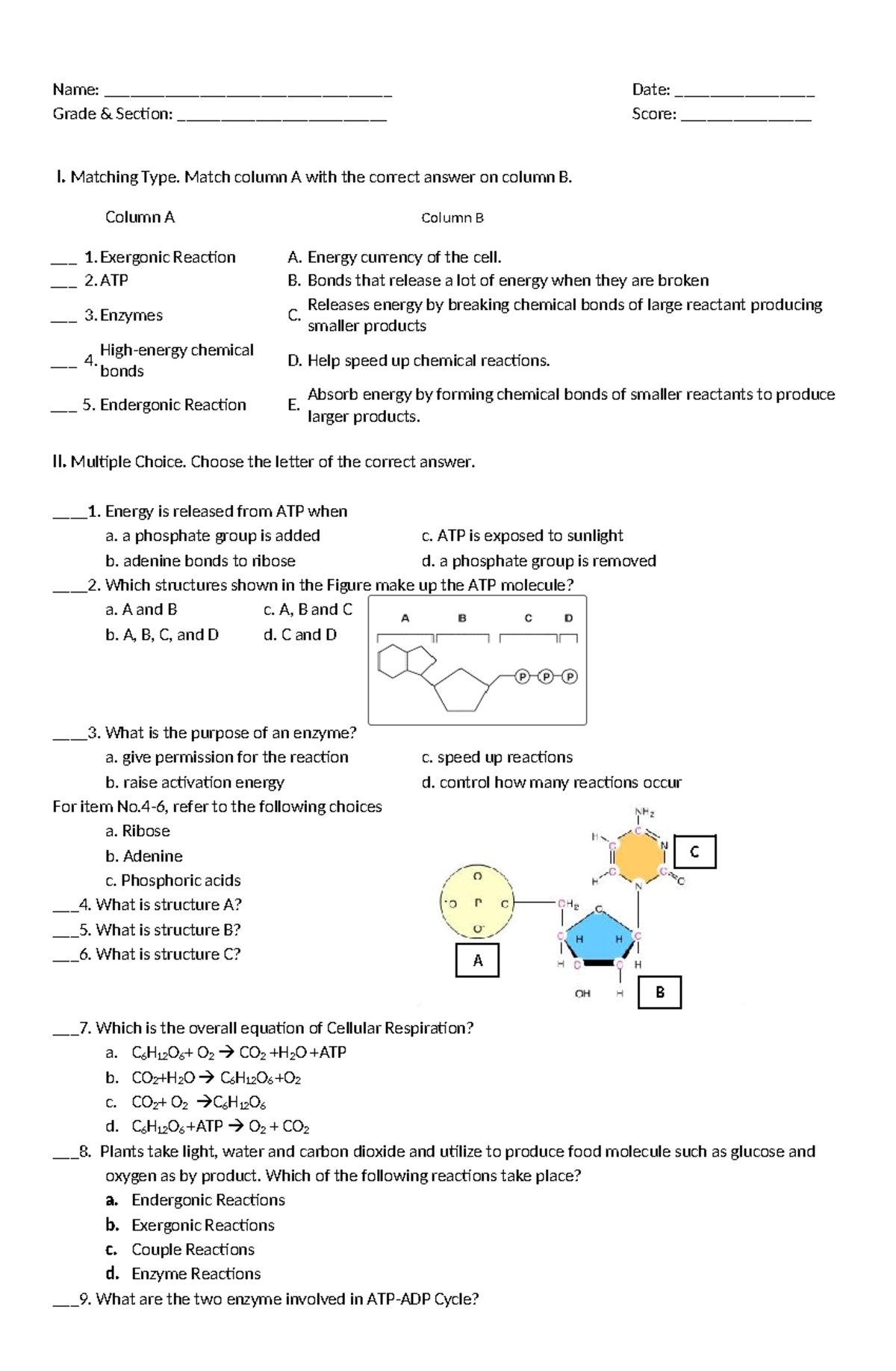 Atp-adp-activity - Gen. Bio - Name ...