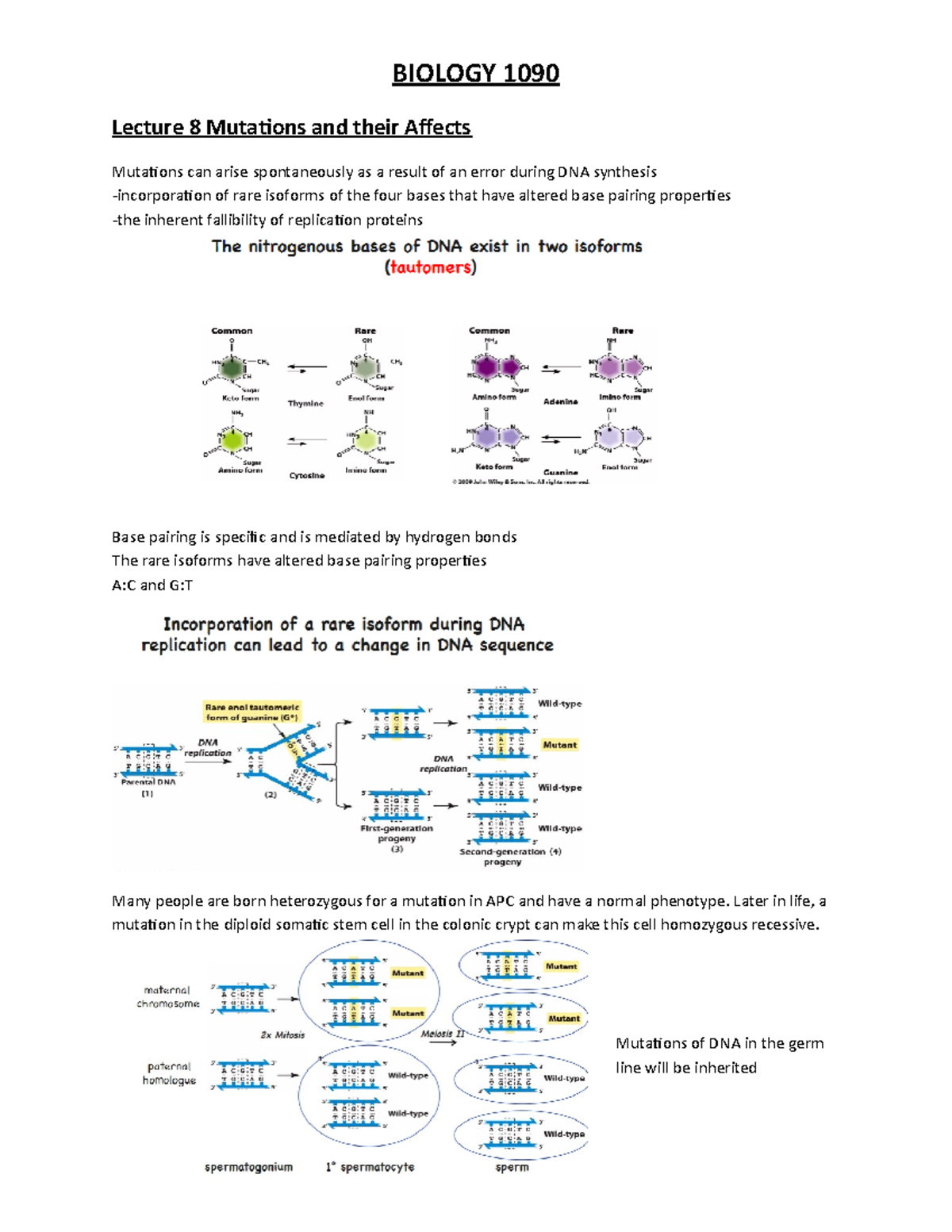 Lecture 8 Mutations And Their Affects Biology 1090 Lecture 8