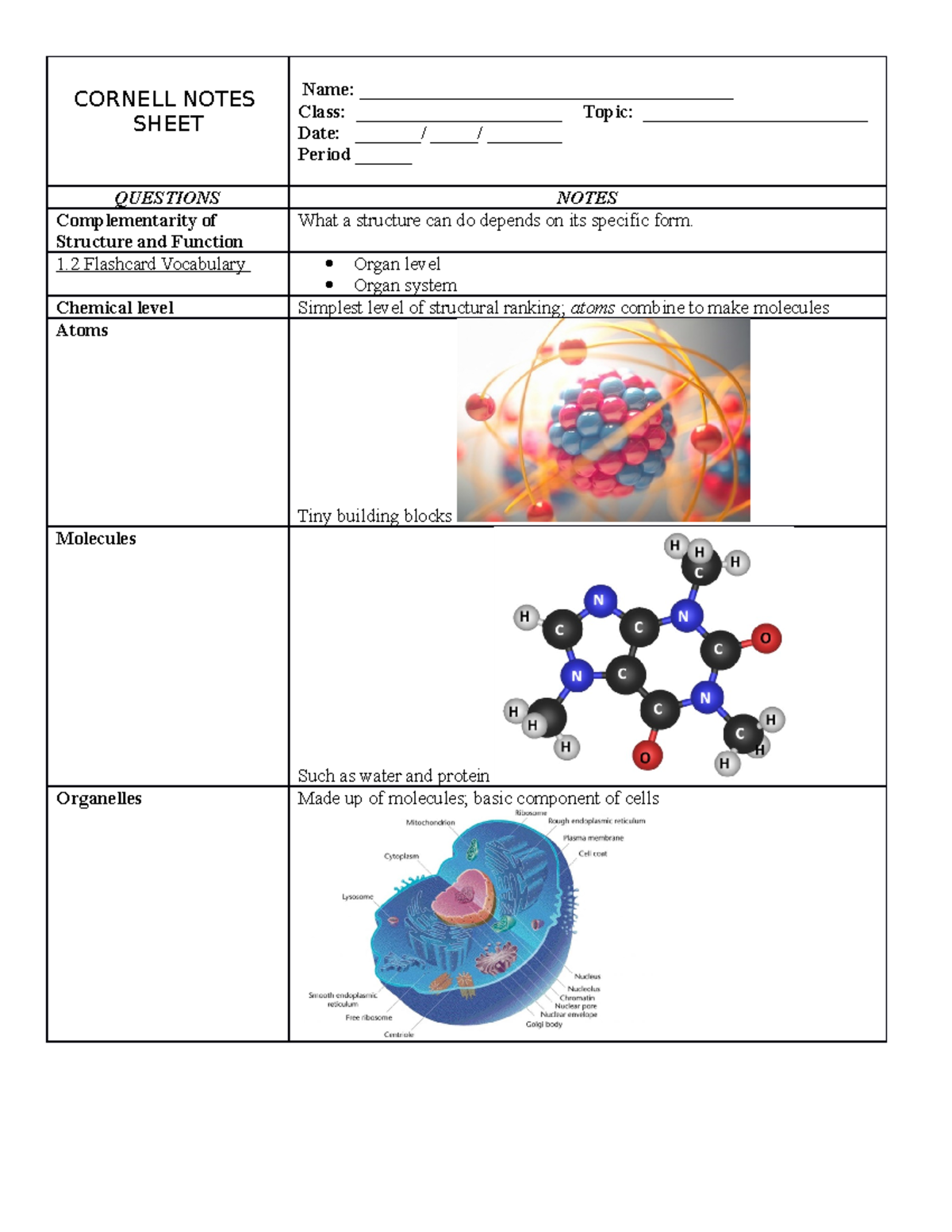 Chapter 1 The Human Body An Orientation 1.2 - CORNELL NOTES SHEET Name ...