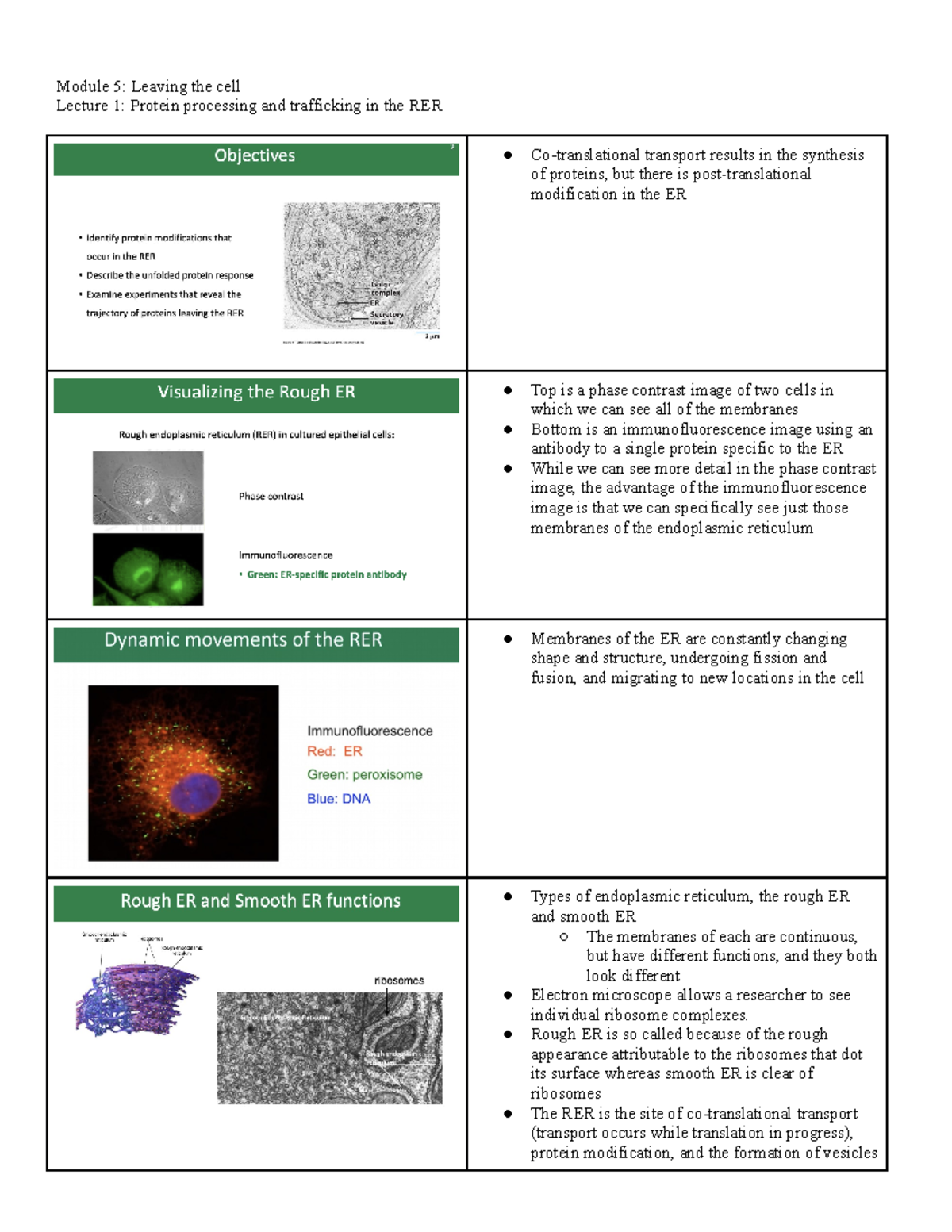 Bio 2B03 Notes 2 - Module 5: Leaving the cell Lecture 1: Protein ...
