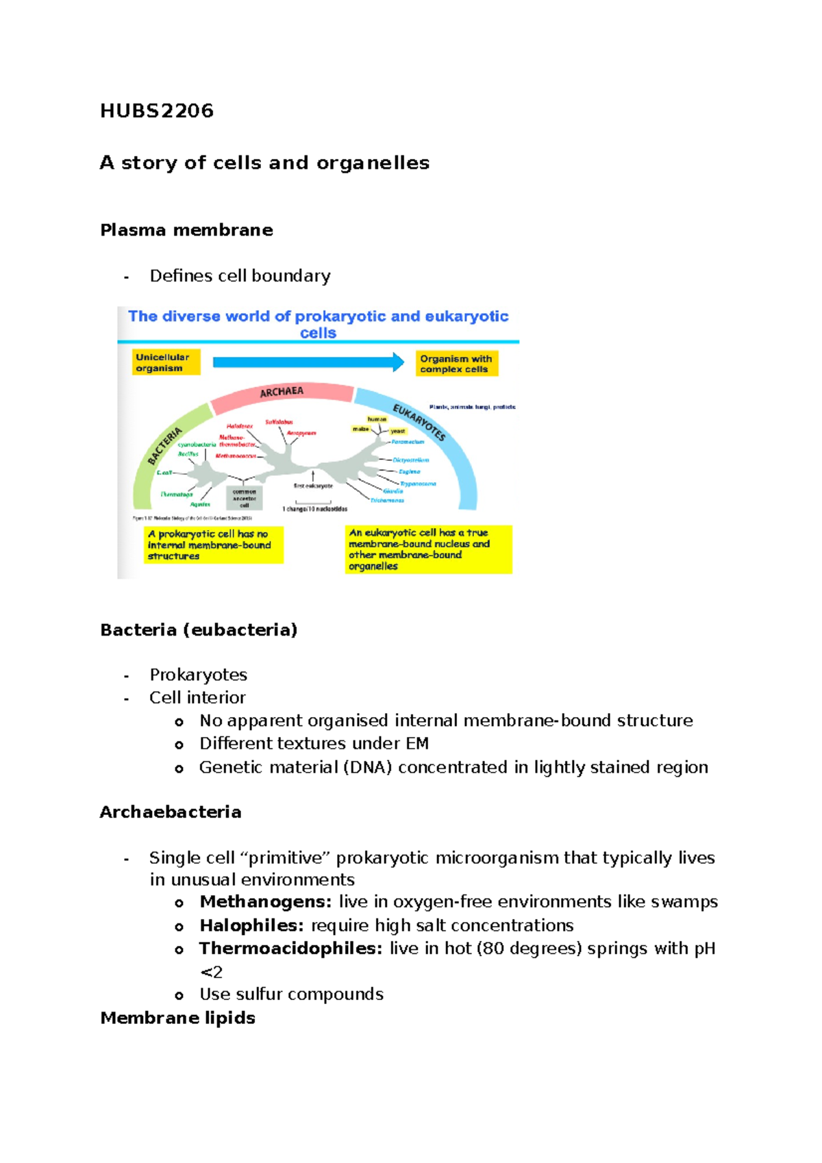 Lecture 1 a story of cells and organelles - HUBS A story of cells and ...