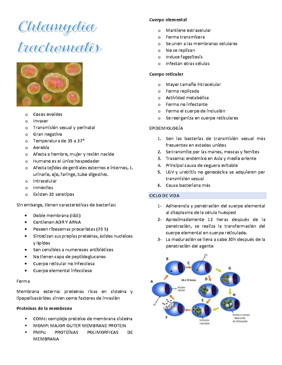 Chlamydia trachomatis - o Cocos ovoides o Invasor o TransmisiÛn sexual ...