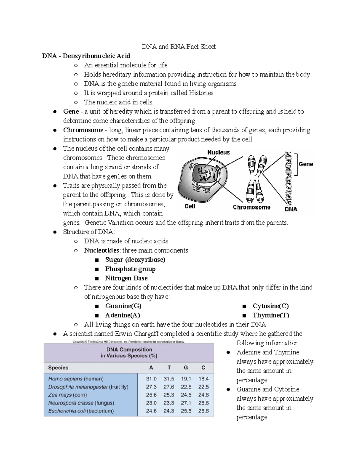 Biology DNA and RNA Fact Sheet - DNA and RNA Fact Sheet DNA ...
