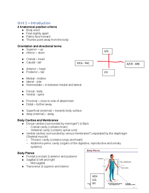 BSCI 201 Lab Practical 1 Review Sheet - 4. Label the surface anatomical ...