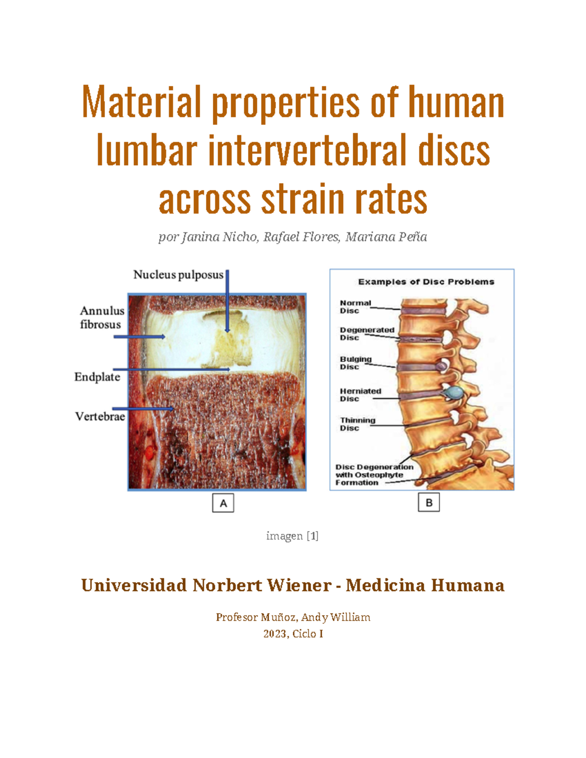 1ER Informe DE Biofisica - Discos Interv - Material properties of human ...