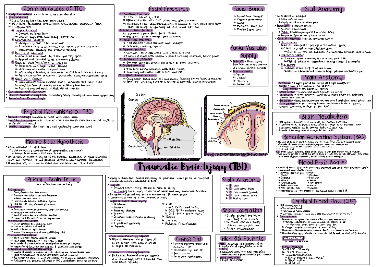 Traumatic Brain Injury - Warning: Error during font loading: XMLHttpRequest is not defined ...