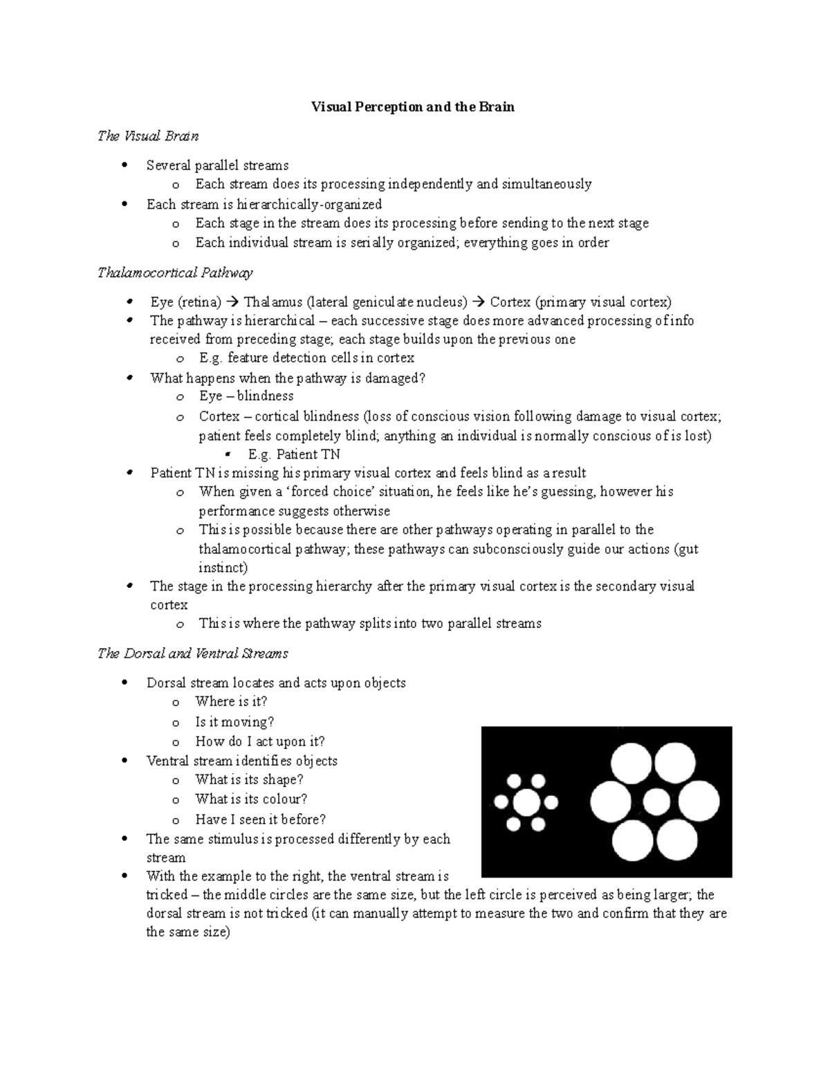 Lesson 6 - Visual Perception and the Brain - Visual Perception and the ...