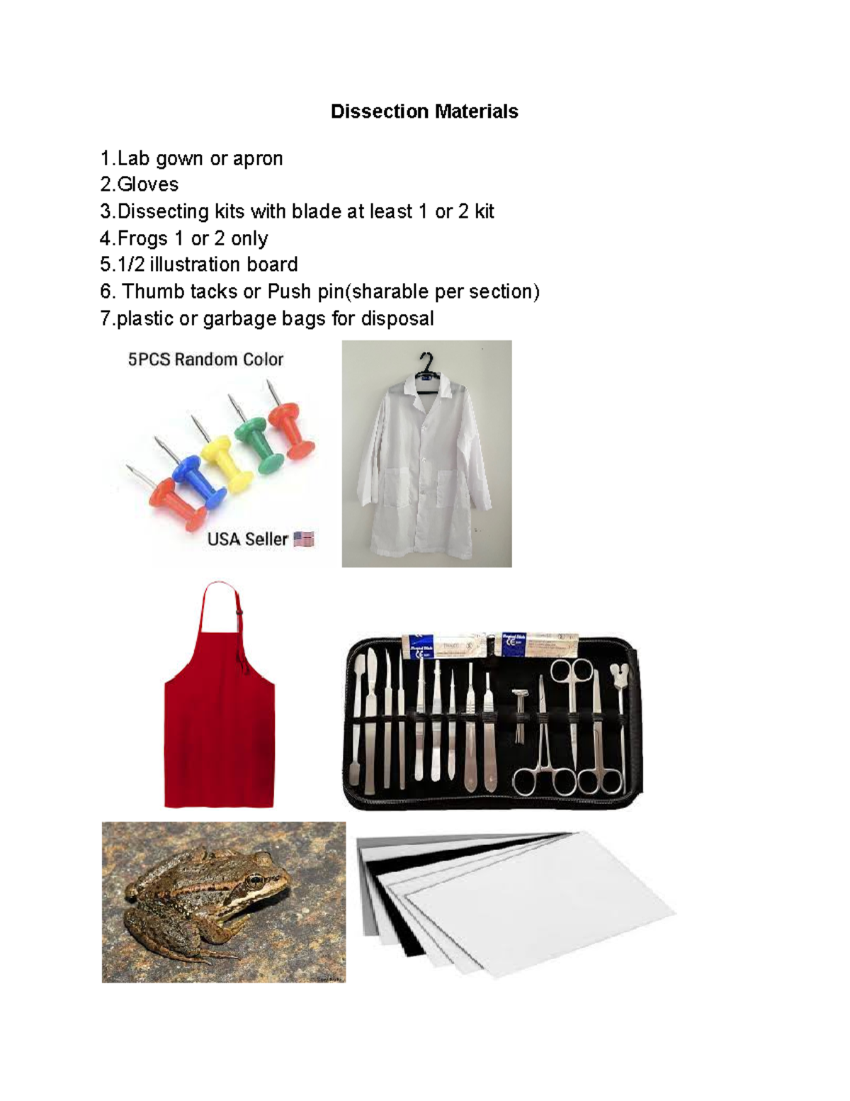 Dissection-Materials - Bachelor in Science of Nursing - Dissection ...