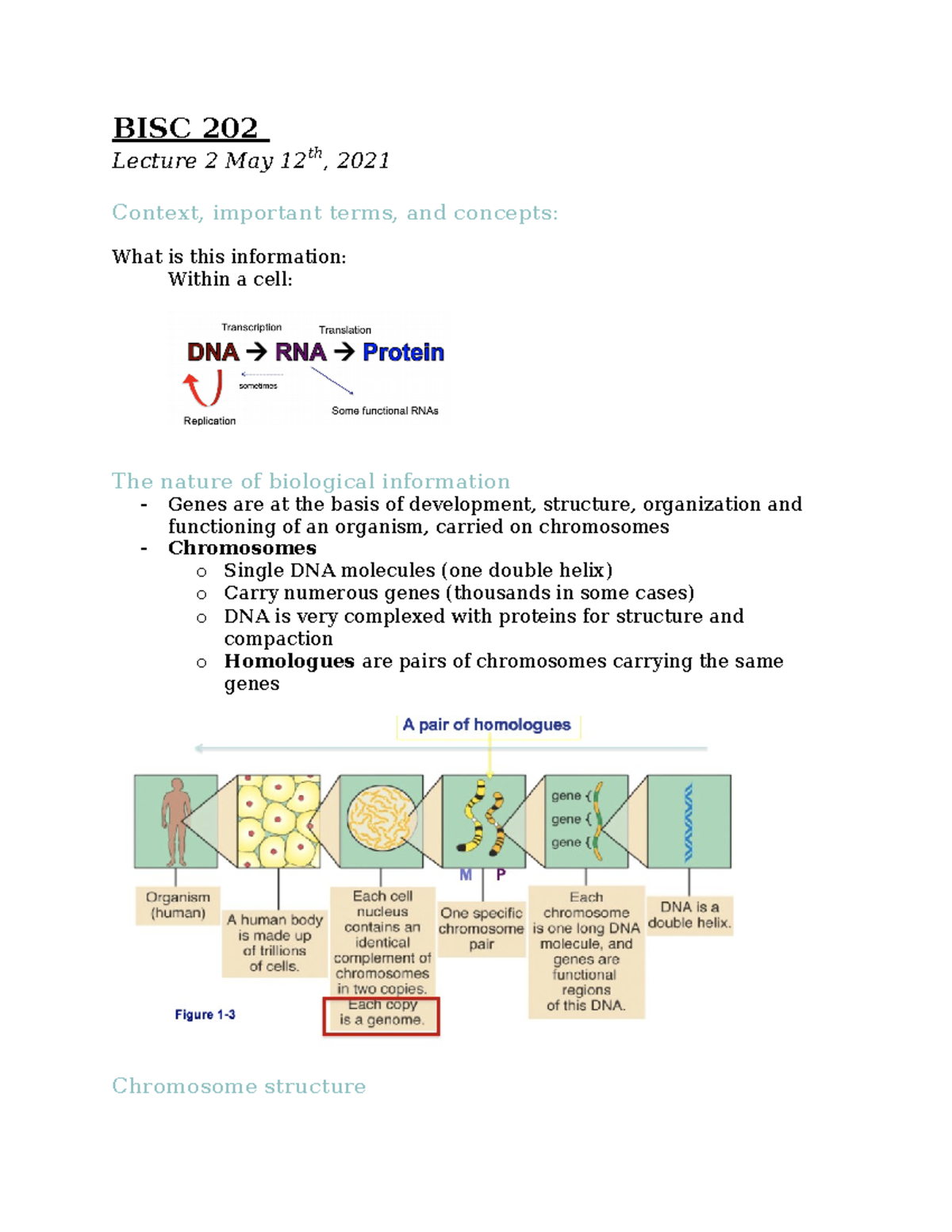 BISC 202 lecture 2 translation and transcription - BISC 202 Lecture 2 ...