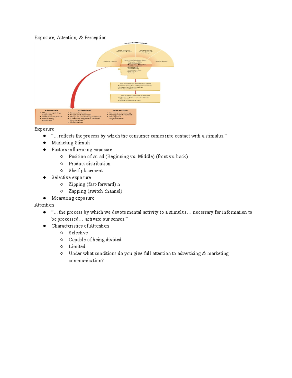 Chapter 3 From Exposure to Comprehension - Exposure, Attention, & Perception Exposure “... - Studocu