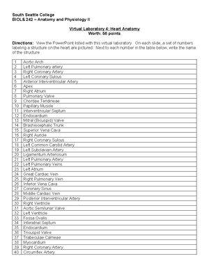 Short Assignment - Reproductive System - South Seattle College BIOL ...