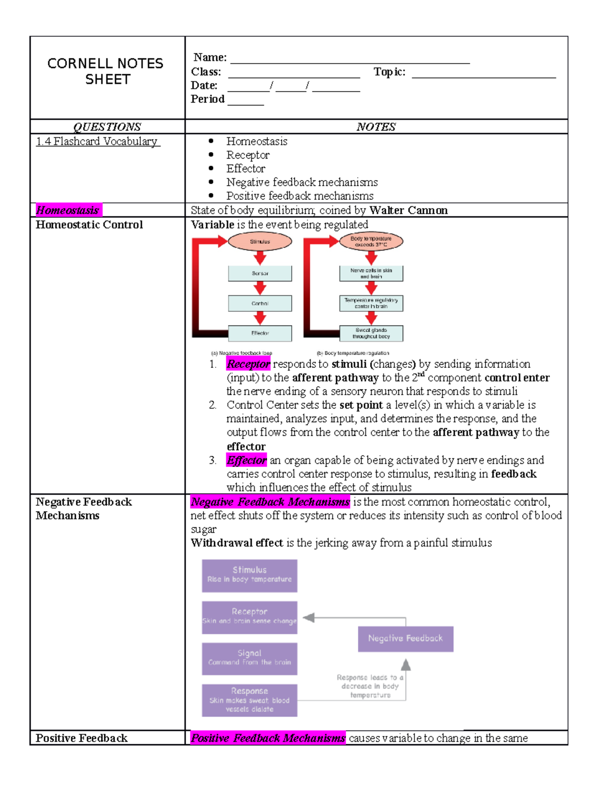 Chapter 1 The Human Body An Orientation 1.4 - CORNELL NOTES SHEET Name ...