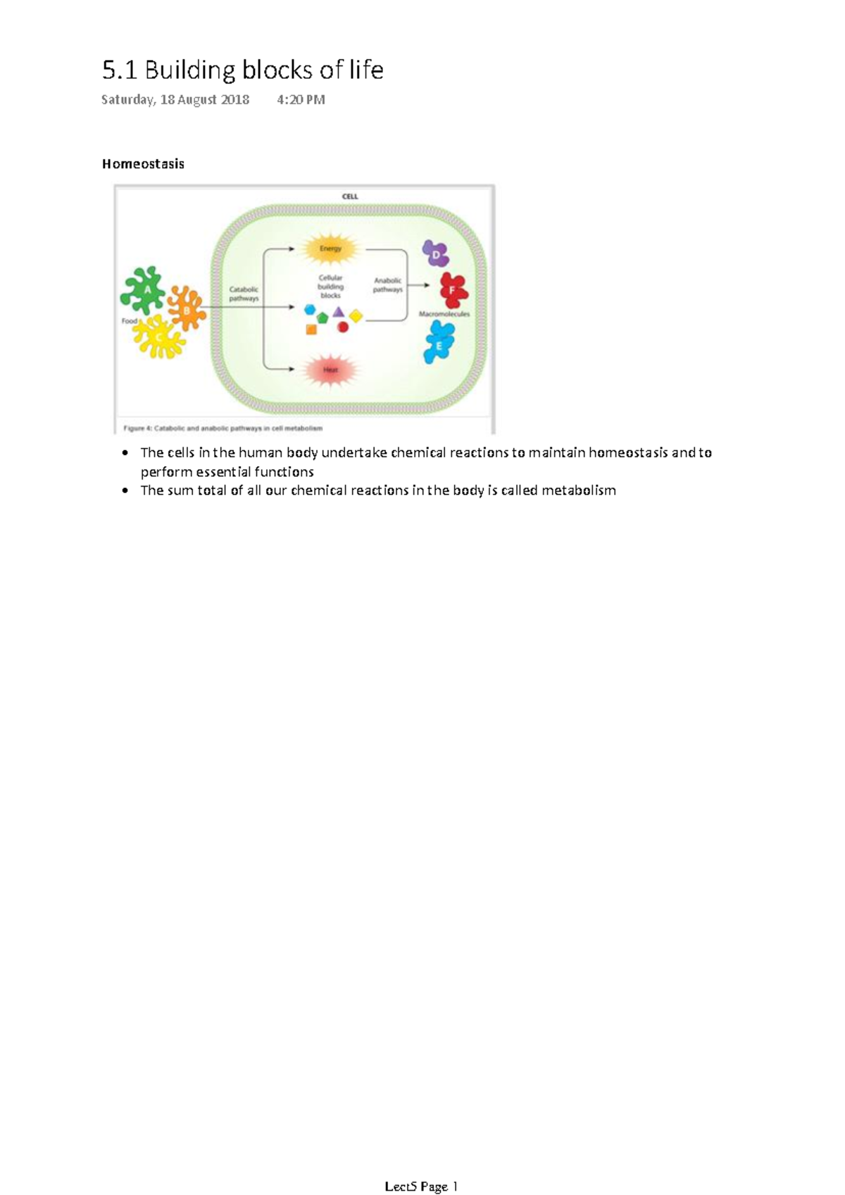 Lect5 LFS112 - Lecture notes 5 - 5 Building blocks of life Saturday, 18 ...