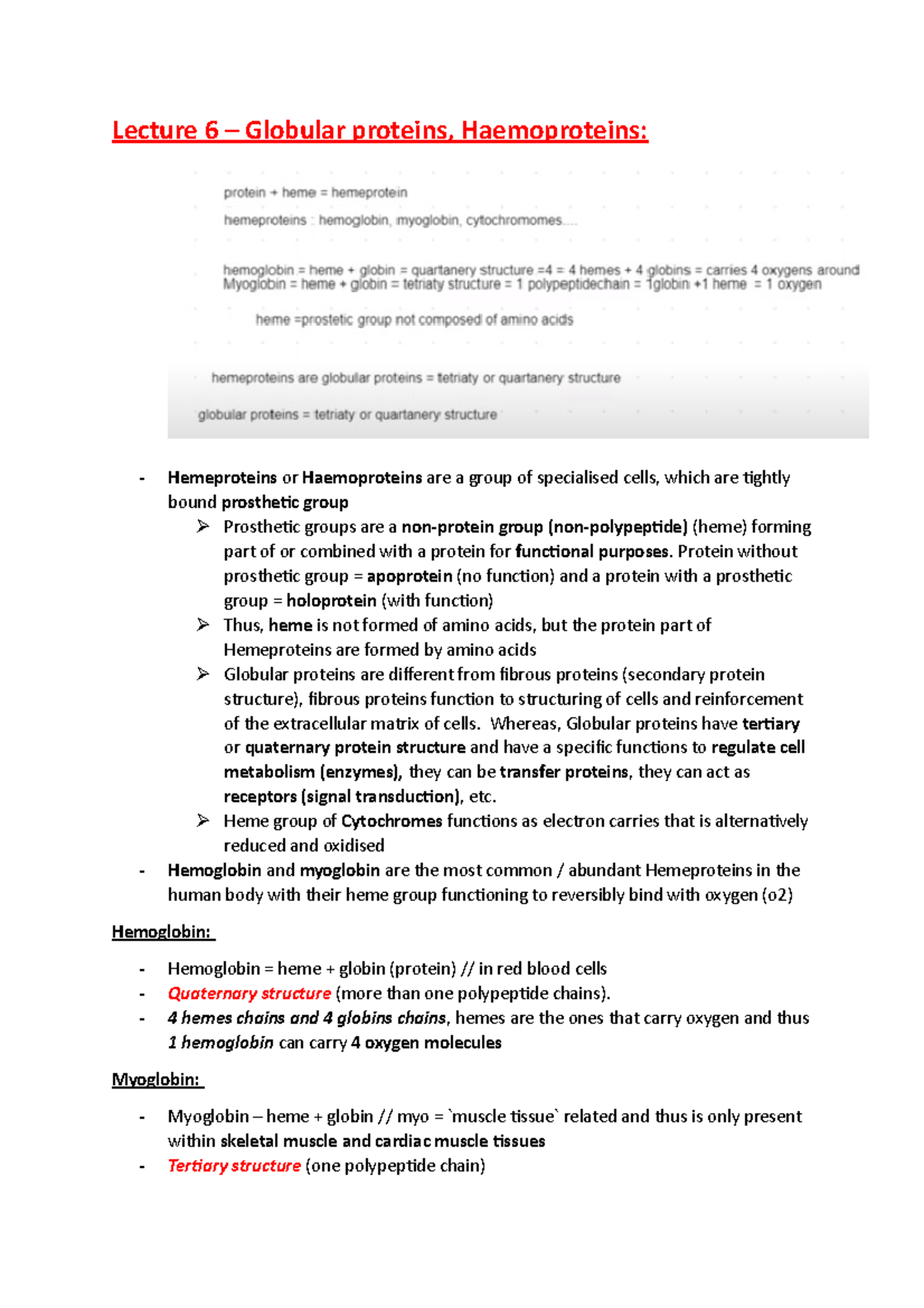 Life Science 1 - Hemoproteins Notes - Lecture 6 – Globular proteins ...