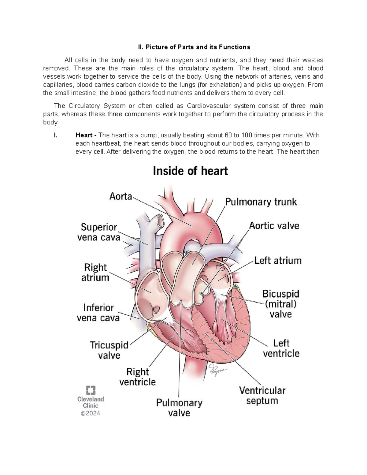 Circulatory-System - II. Picture of Parts and its Functions All cells ...