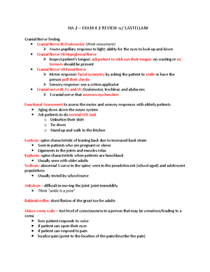 Active learning template: Pain Management - ACTIVE LEARNING TEMPLATES ...