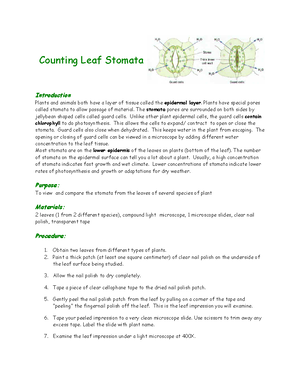 Fish Lab Report - [Last Name] 1 Kimberly Rauda Prof. Laila Ali Biology ...